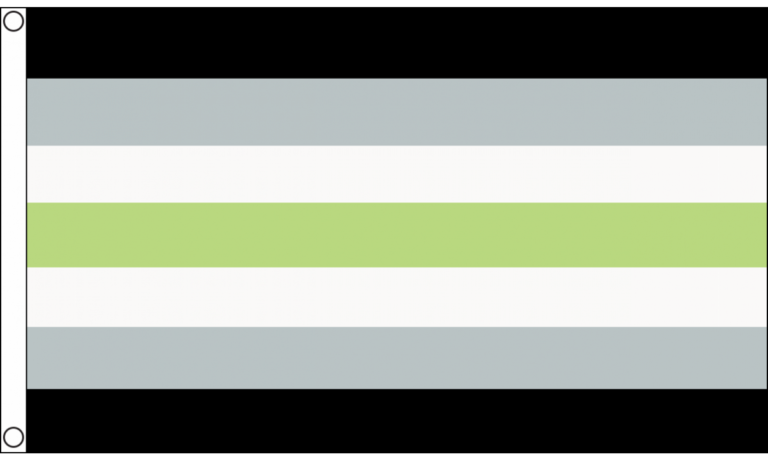 Agender Flag 5 x 3 FT