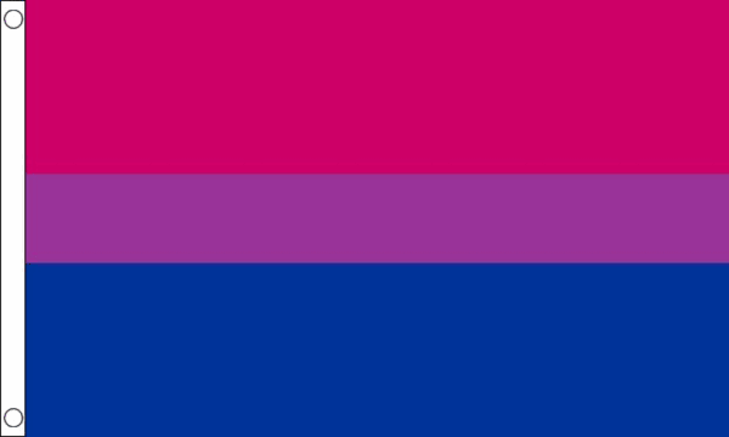 Bi-Pride Flag 5 x 3 FT
