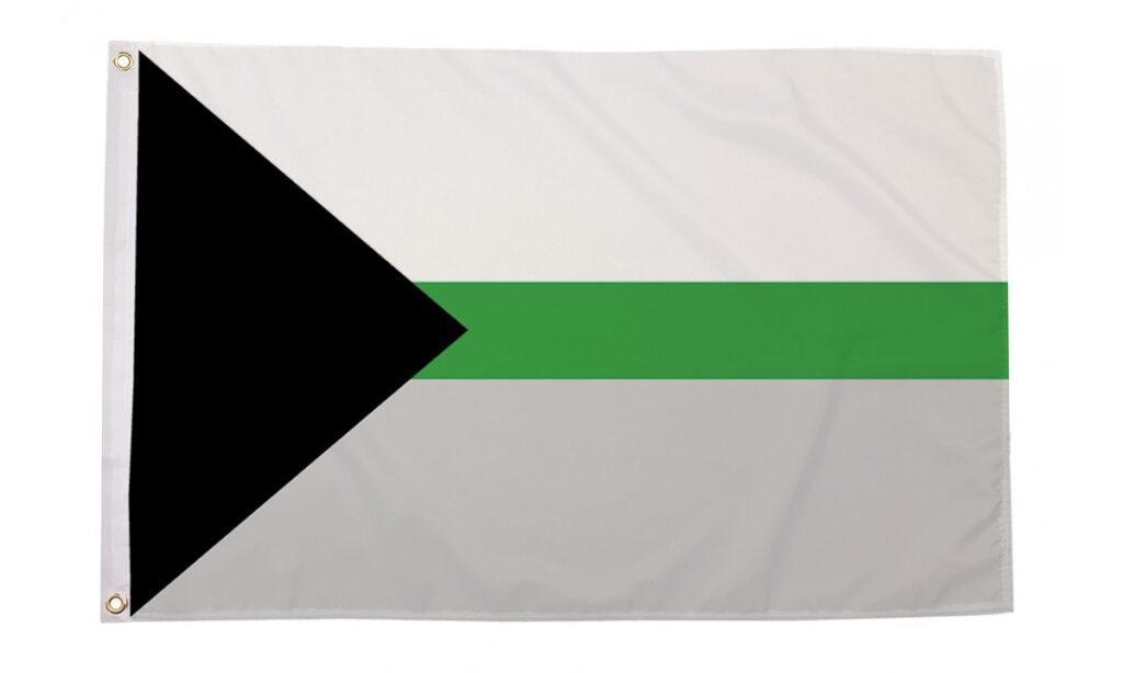 Demiromantic Flag 5 x 3 FT