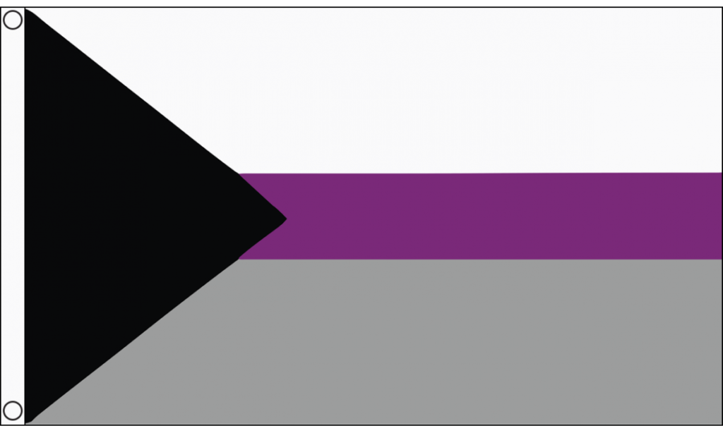 Demisexual Flag – Welcome to Flag Superstore