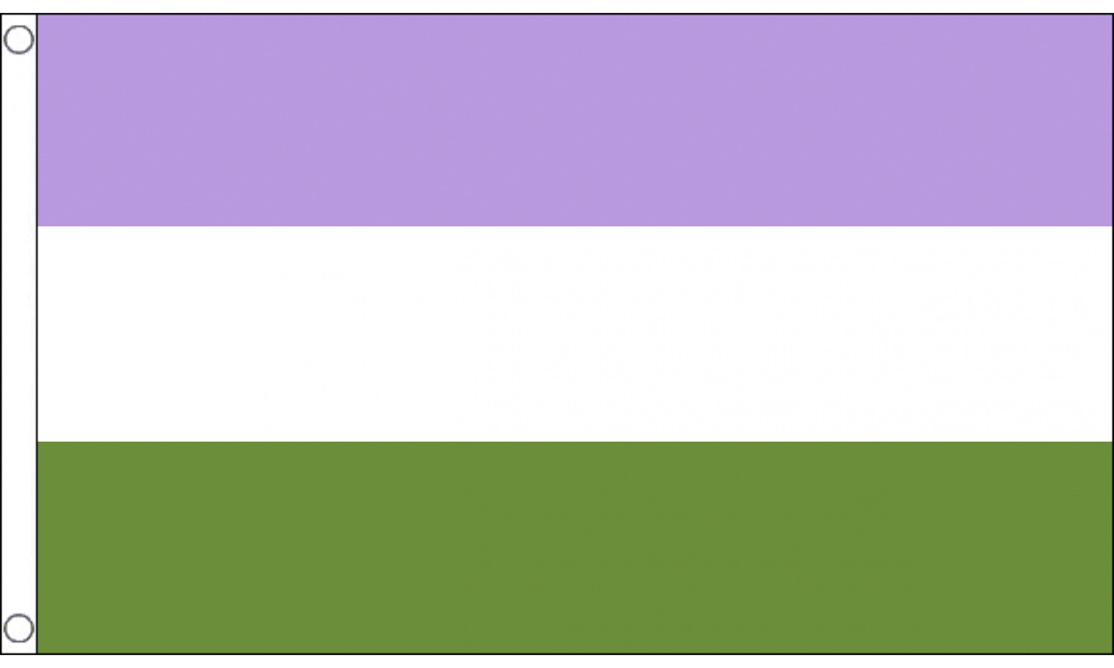 Genderqueer Flag 5 x 3 FT