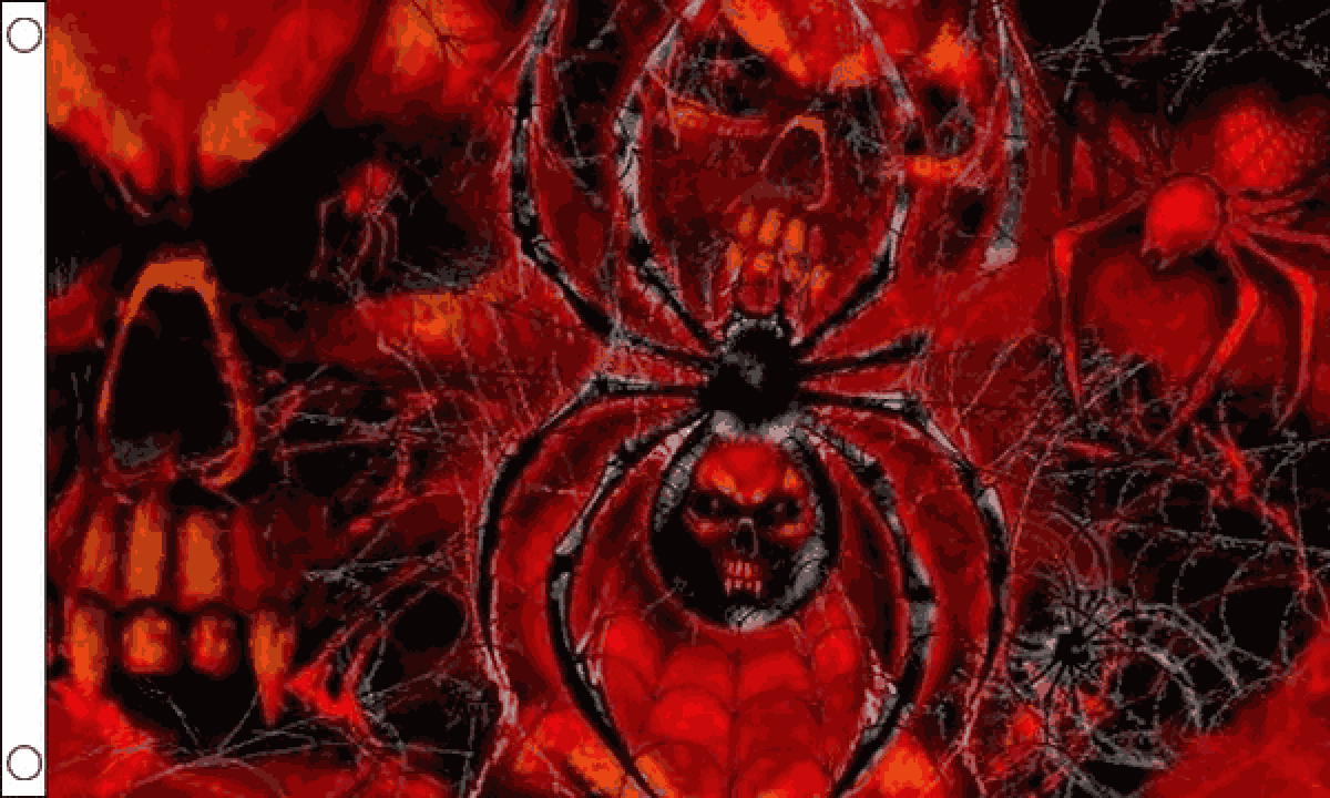 Skull with Spider Flag – Welcome to Flag Superstore