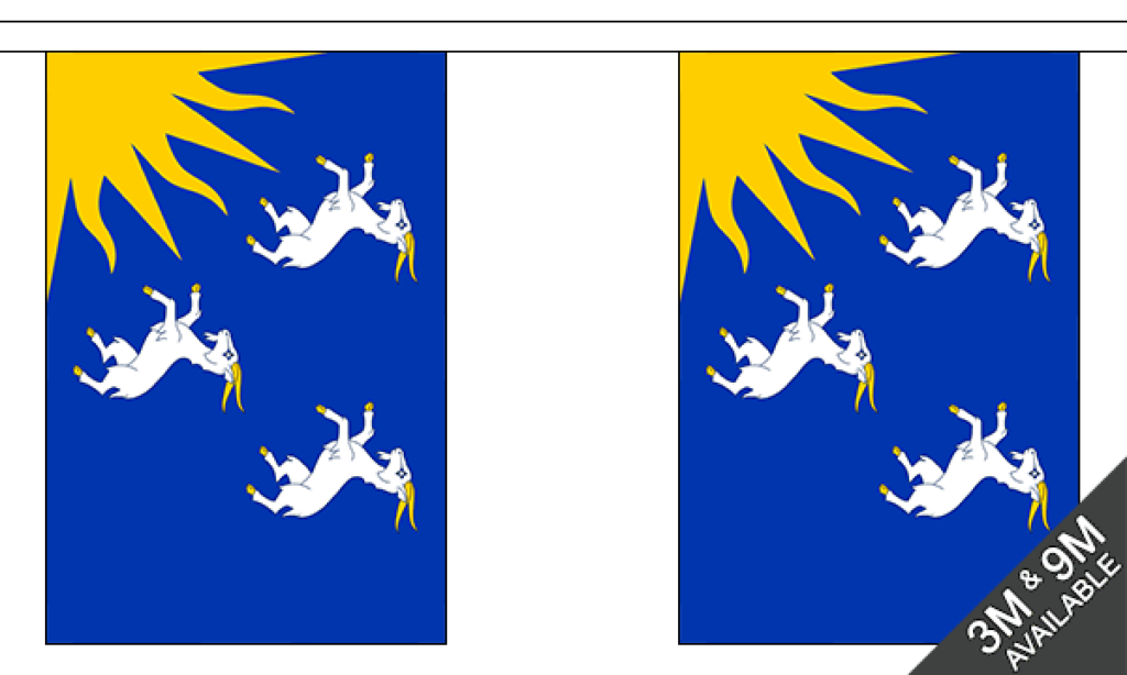 Merionethshire Bunting – Welcome to Flag Superstore