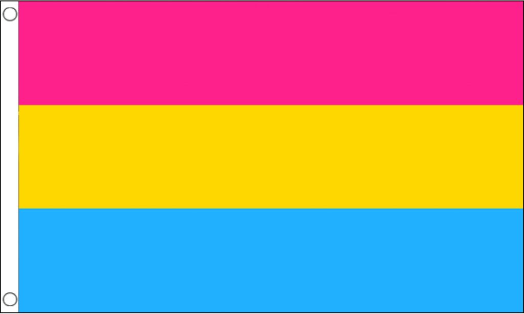 Pansexual Large Flag 8 x 5 FT