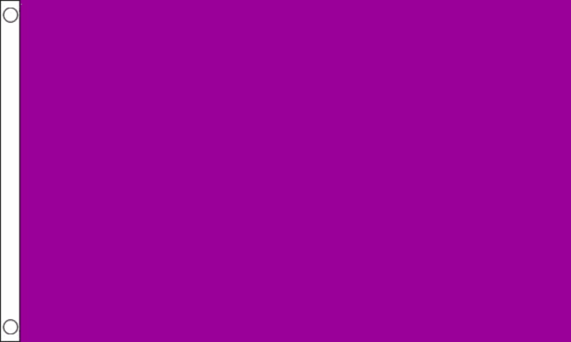 Plain Purple Large Flag – Welcome to Flag Superstore
