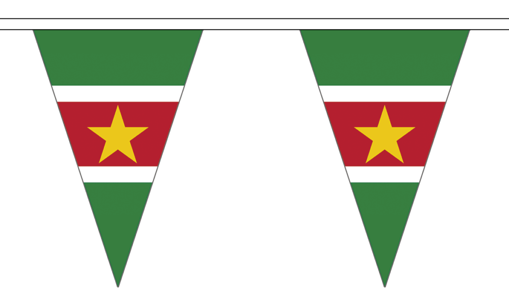 Suriname Triangle Bunting – Welcome to Flag Superstore