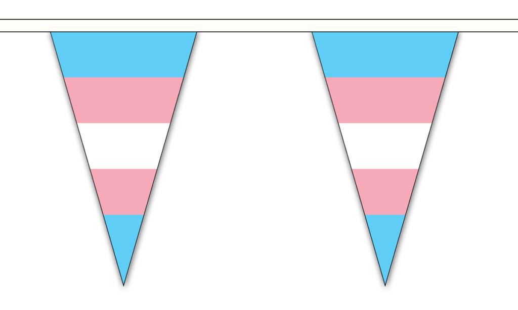 Transgender (New) Triangle Bunting – Welcome to Flag Superstore